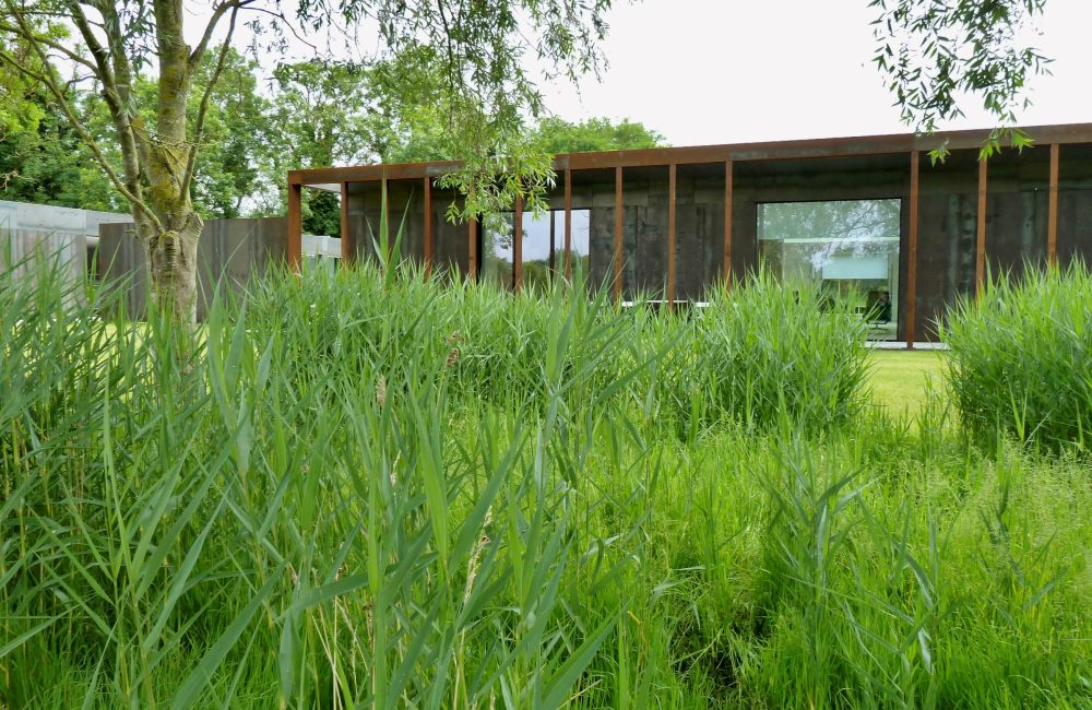 Mill Hide - Case Study | Davies Maguire