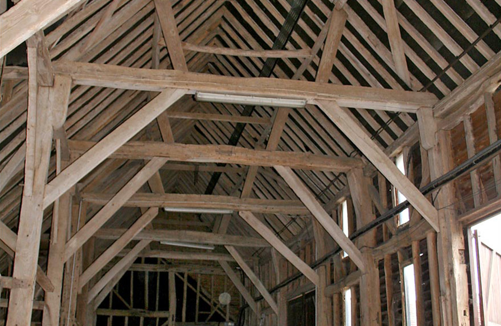 Hesmonds Stud - Case Study | Davies Maguire